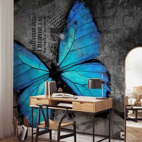 Fototapeta Krása motýla - modrý motýl na grafitovém pozadí s motivem novin