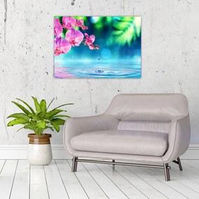 Skleněný obraz - Orchidej (70x50 cm)