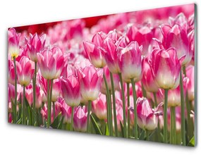 Obraz na skle Tulipány Květiny Příroda 125x50 cm