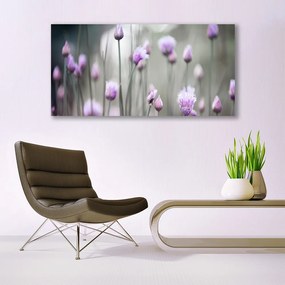 Plexisklo-obraz Polní Květiny Louka Příroda 120x60 cm
