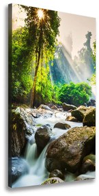 Wallmuralia Vertikální Foto obraz na plátně Vodopád v lese 50x100