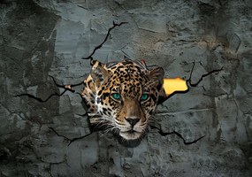 Postershop Fototapeta vliesová: Gepard ve zdi - 152,5x104 cm