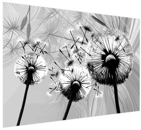 Fototapeta Krásné černobílé pampelišky 200x135cm FT4188A_1AL