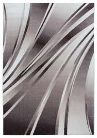 Hnědý koberec 120x170 cm Parma – Ayyildiz Carpets