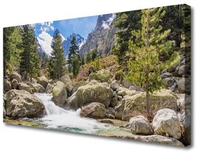 Obraz na plátně Hora Les Kameny Řeka 100x50 cm