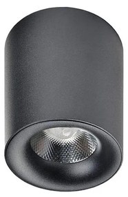 Azzardo Azzardo AZ2844 - LED Stropní svítidlo MANE 1xLED/10W/230V AZ2844