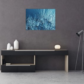 Skleněný obraz - Kapky rosy (70x50 cm)