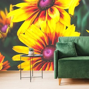 Samolepící fototapeta dvoubarevné květiny - 225x150 cm