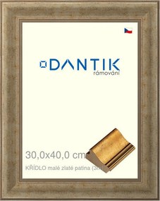 DANTIK rámeček 30x40 | KŘÍDLO malé zlaté patina (Plexi Čiré)