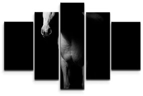 Sablio Obraz - 5-dílný Kůň ve stínu - 125x90 cm
