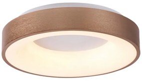 Rabalux 5053 - LED Stropní svítidlo CARMELA LED/50W/230V