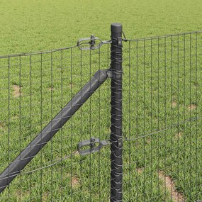 Svařované drátěné ploty s hroty 10 x 0,8 m Ocel potažená PVC 3352162