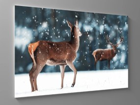Liox Obraz srna a jelen v zimní krajině Rozměr: 120 x 80 cm