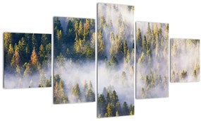 Obraz stromů v mlze (125x70 cm)