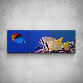 3-dílný obraz - Rybky v moři - PopyDesign