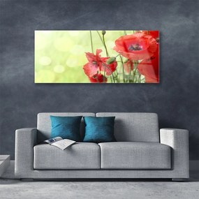 Plexisklo-obraz Máky Květiny Příroda 125x50 cm