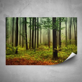 Plakát - Listnatý les (60x40 cm) - PopyDesign