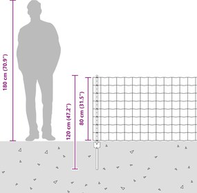 Euro plot s pilotem 10 x 0,8 m Ocel potažená PVC Šedá Síťovina 3336088