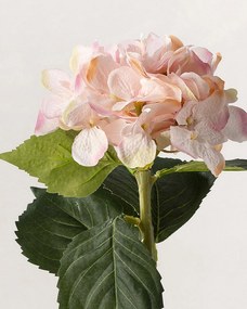 Větvička hortenzie 50 cm