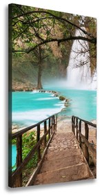 Wallmuralia Vertikální Foto obraz na plátně Vodopád Mexiko 50x100