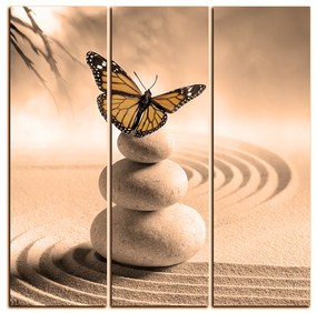 Obraz na plátně - Motýl na spa kameny - čtverec 3180FB (105x105 cm)
