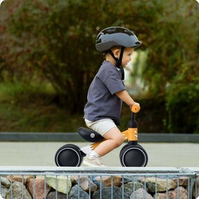 Tříkolové balanční kolo Ricokids pro děti s nastavitelným sedadlem a bezpečnostními úchyty