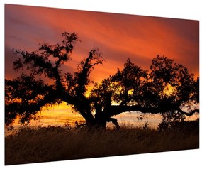 Romantický obraz stromu (90x60 cm)