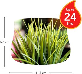 Yankee Candle Outdoor vonná svíčka Sparkling Lemongrass 283 g