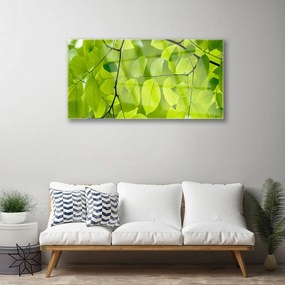 Obraz na skle Listy Příroda Rostlina 120x60 cm