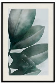 Plakát Listy olivovníku - rostlinná kompozice zelených listů na světlém pozadí