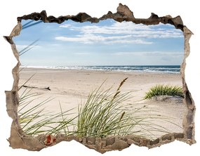 Wallmuralia Díra 3D ve zdi nálepka Mřežino pláž 95x64 cm