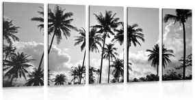 5-dílný obraz kokosové palmy na pláži v černobílém provedení - 200x100 cm