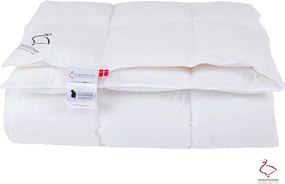 Celoroční přikrývka s péřovou výplní 200x140 cm Snow Queen – Ringsted Dun