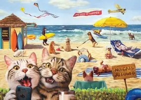 EUROGRAPHICS Puzzle Kočkám vstup zakázán XL / 500 dílků / extra velké