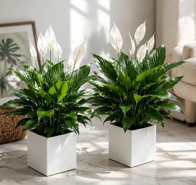 umělá květina, květ lilie, výška 47 cm, plast, bílá, Dekorino UK20260017