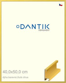 DANTIK rámeček 40x50 | ALU profil 6035 Dýha barevná žlutá citrus (Sklo Čiré)