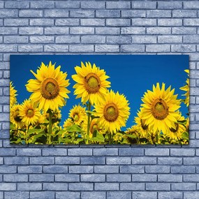 akrylový obraz Slunečníce Rostlina 120x60 cm