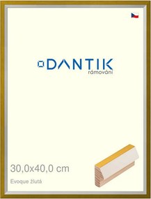 DANTIK rámeček 30x40 | EVOQUE žlutá (Plexi Čiré)