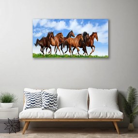 Obraz na plátně Cválající Koně na Pastvině 125x50 cm