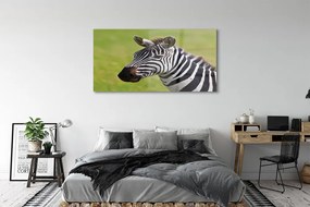 akrylový obraz zebra 140x70 cm