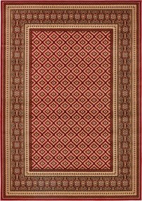 Kusový koberec Agnella Standard Apium Terakota Rozměr: 200x300 cm