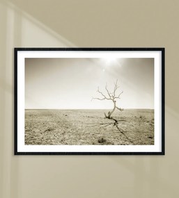 Plakát / Obraz Strom Samolepící plátno A4 - 21 x 29,7 cm