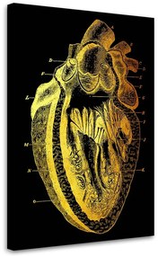 Gario Obraz na plátně Zlatá anatomie, průřez lidským srdcem - Gab Fernando Rozměry: 40 x 60 cm