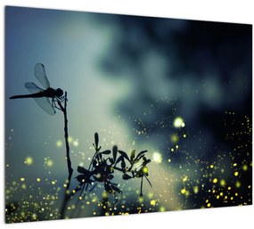 Skleněný obraz - Vážka za třpytivé noci (70x50 cm)