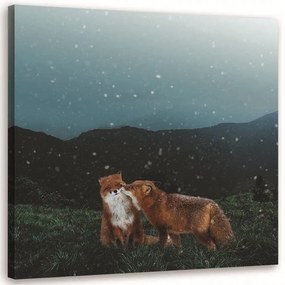 Gario Obraz na plátně Dvě lišky v noci - Rokibul Hasan Rozměry: 30 x 30 cm