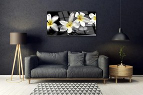 Obraz na skle Kameny Květiny Lázně 100x50 cm