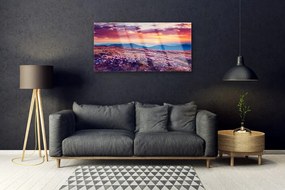 akrylový obraz Louka Hory Květiny Příroda 100x50 cm