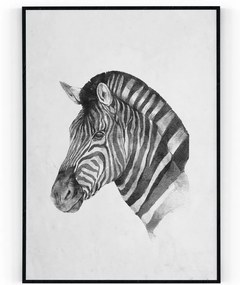Plakát / Obraz Zebra Samolepící plátno A4 - 21 x 29,7 cm