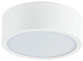 Linea Light 8238N Box_SR, bílé stropní svítidlo, 17W LED 4000K, prům. 24cm