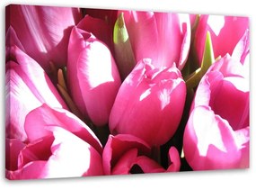 Gario Obraz na plátně Kytice růžových tulipánů Rozměry: 60 x 40 cm